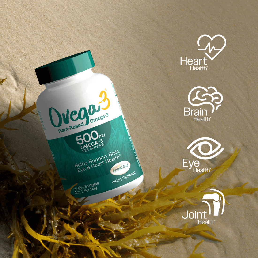 Ovega-3® 500mg Plant-Based Omega-3 – Ovega®
